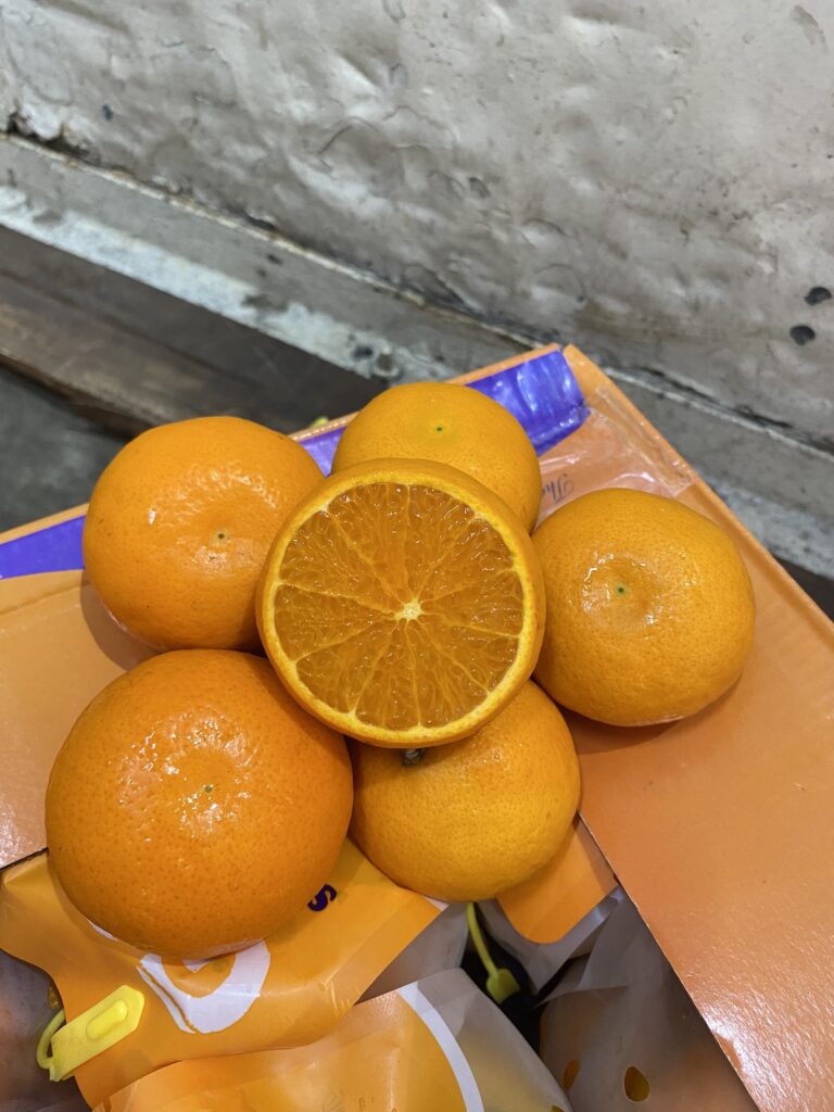 Quýt Túi Úc Gold Seedless Tangerine - Tân Hoàng Phát Goku